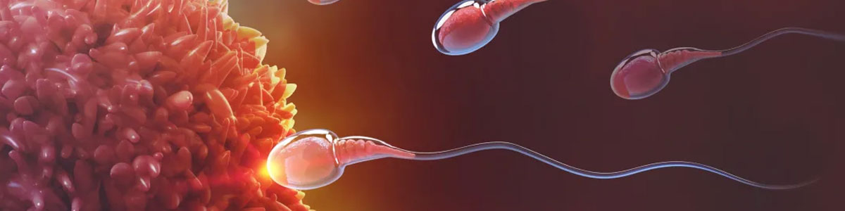 Infertility and Reproductive Treatments in Vashi | Dr Aditi Kaundinya ...